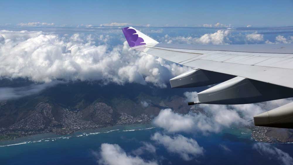 'The Plane Just Dropped': Frightening Airplane Moment Goes Viral ...