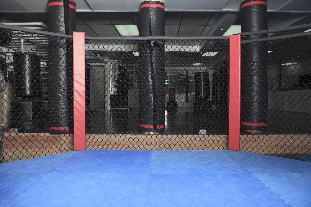 Former UFC fighter Mark Coleman in medically induced coma after ...