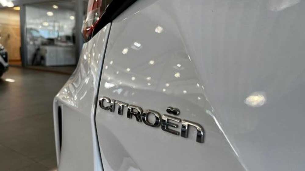 Stellantis Has a New Weapon to Challenge Tesla and General Motors ...