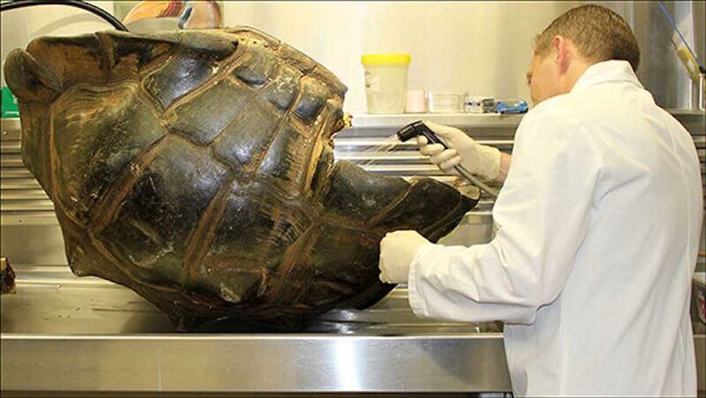 National Fish and Wildlife Forensics Lab marks 25 years of solving ...