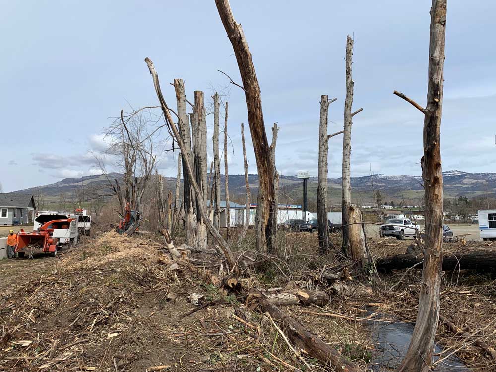 Almeda Fire restoration project heads toward completion | Rogue Valley ...