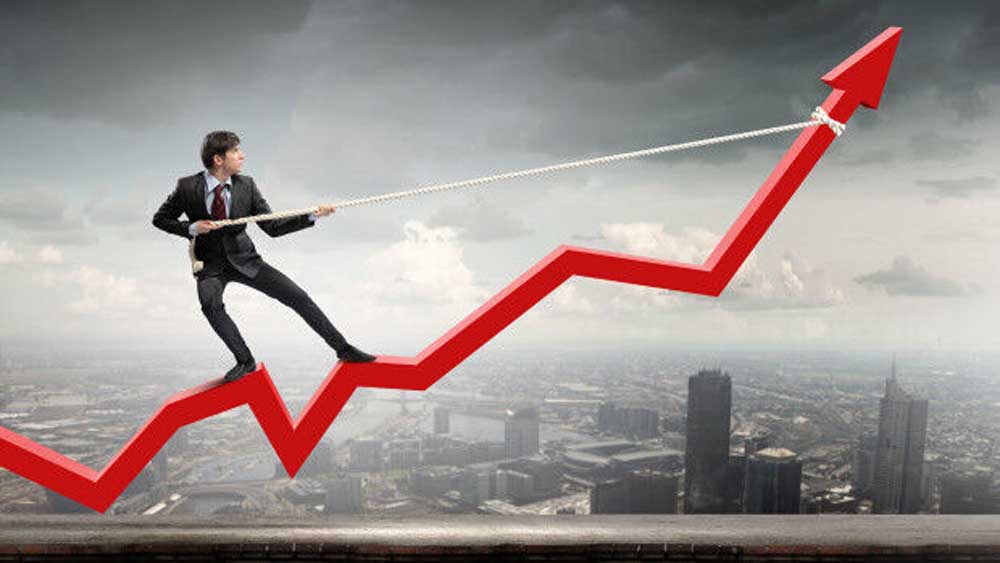 Morningstar's Two New Wide-Moat Stocks: Copart and Kenvue - Rogue ...