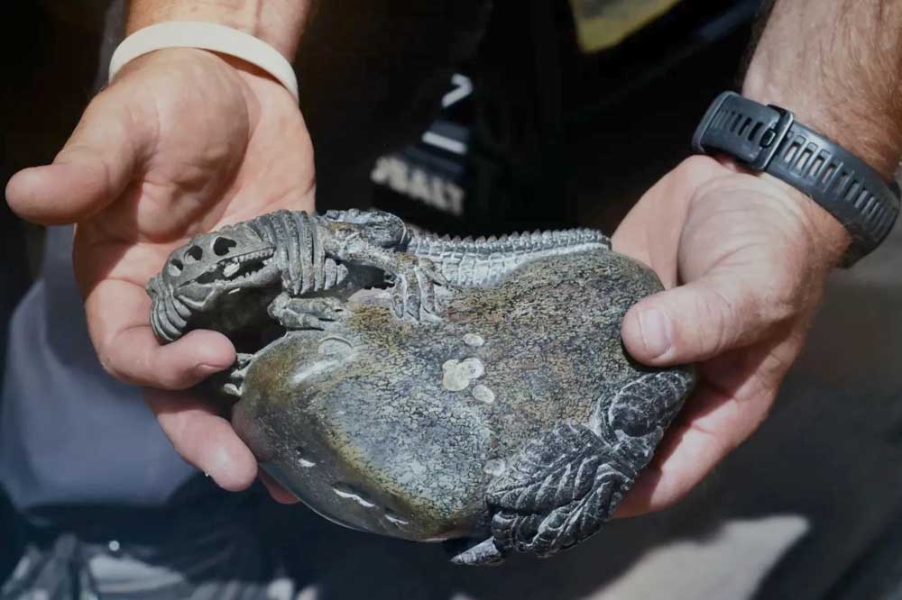 Ashland man’s dinosaur bones trial should not be severed, judge rules ...