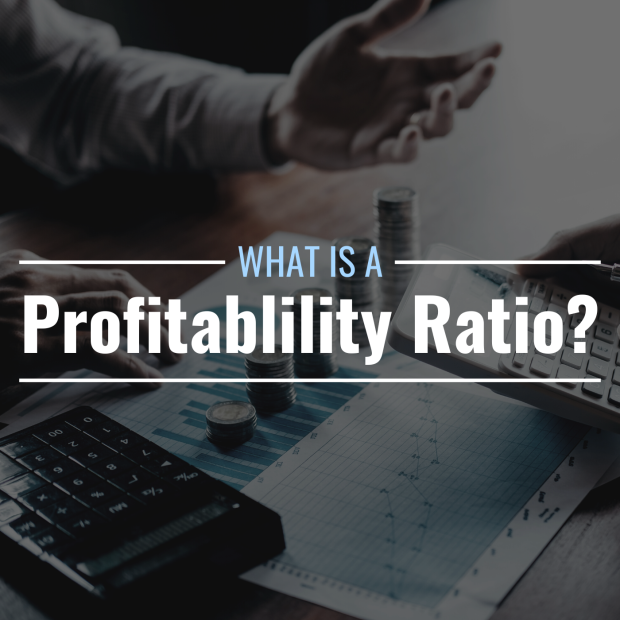 What Are Profitability Ratios? Definition, Examples & Importance ...