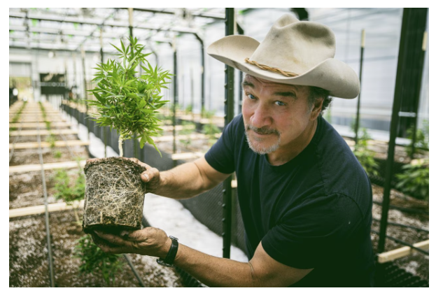 ‘Growing Belushi’ returns to farm along the Rogue River | Rogue Valley ...