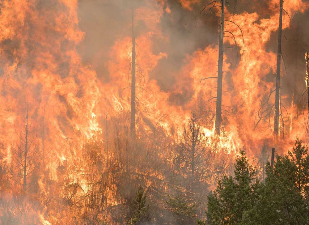 Federal government sues PacifiCorp over 2020 Archie Creek Fire | Rogue ...