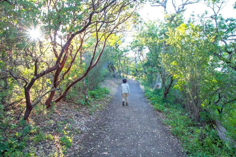 OUTDOORS NOTEBOOK: Upper Table Rock Trail reconstruction will make it ...