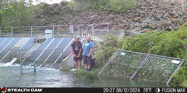 UPDATE: OSP says two individuals cleared in Trail salmon hatchery case ...