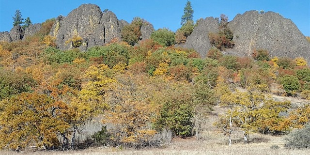 Lower Table Rocks Trail closes until mid-December, BLM announces ...