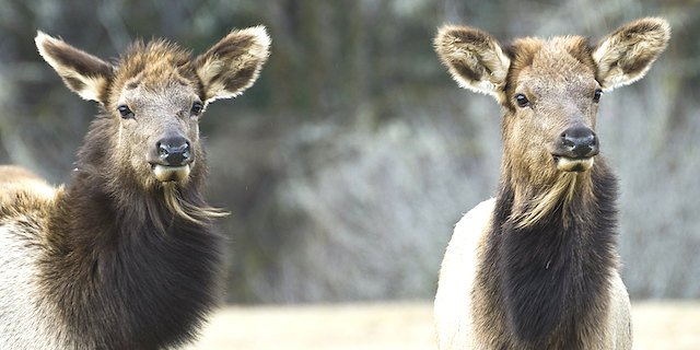 Jackson County focus of state land-use ruling where gravel mining ...