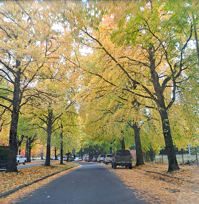 ROGUE WANDERER: Fun times in Portland, Part 2 | Rogue Valley Times