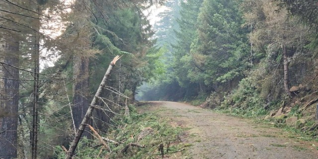 OUTDOOR ADVENTURES: Remote road to coast reopens, fundraisers, work ...