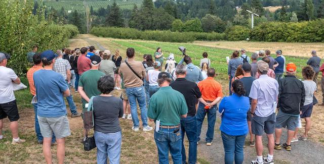 Ag groups seek to stop $7 million in OSU statewide program cuts | Rogue ...