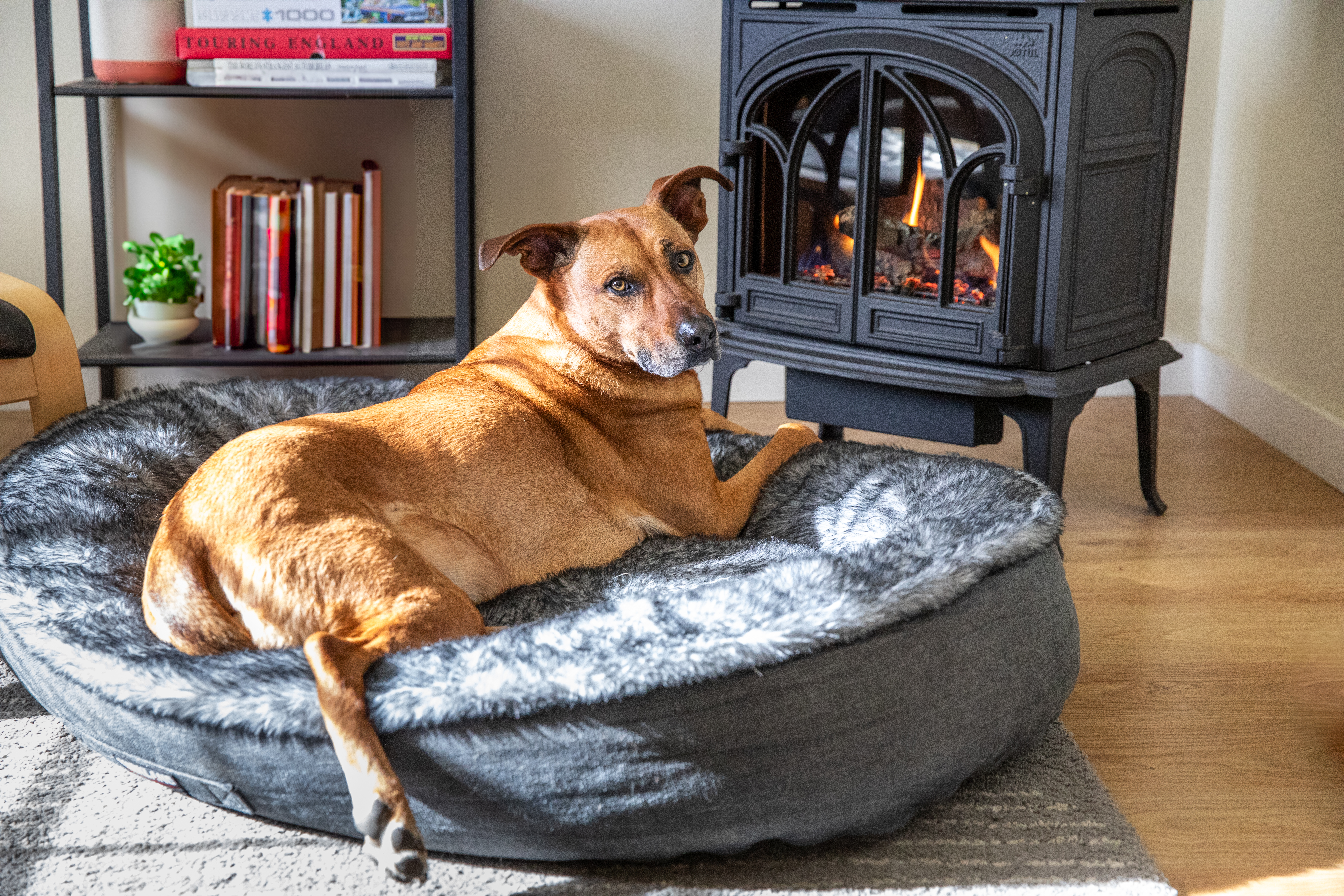 Home Energy Spotlight: Simple tips to save energy and lower heating ...